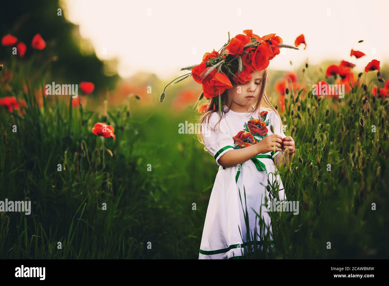 beautiful little girl with a wreath of poppies on head. cute child in ...