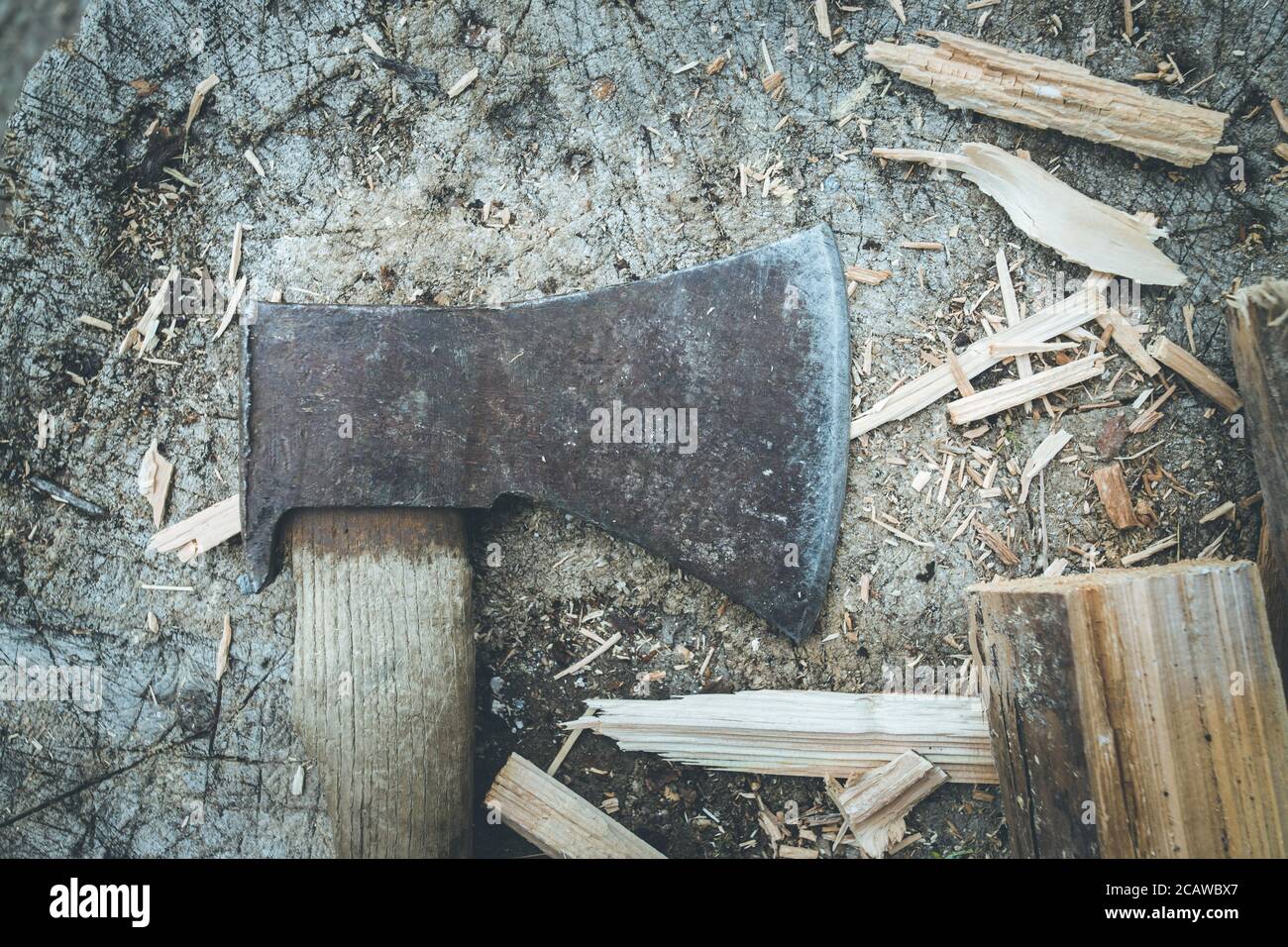 Close up of old axe attached to a tree trunk, countryside Stock Photo ...