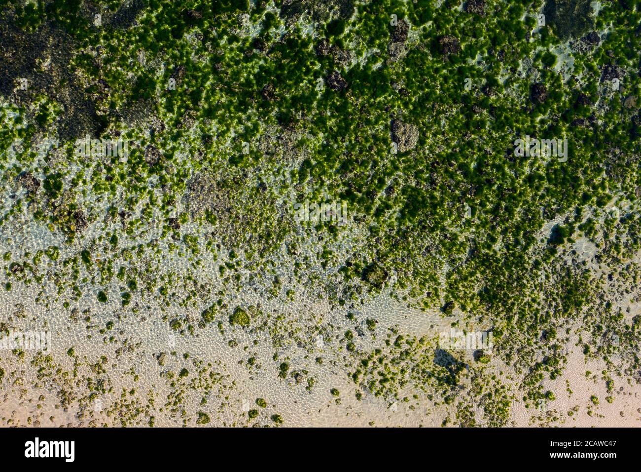 Tropical sea coral reef background. Beautiful texture of water. Drone ...