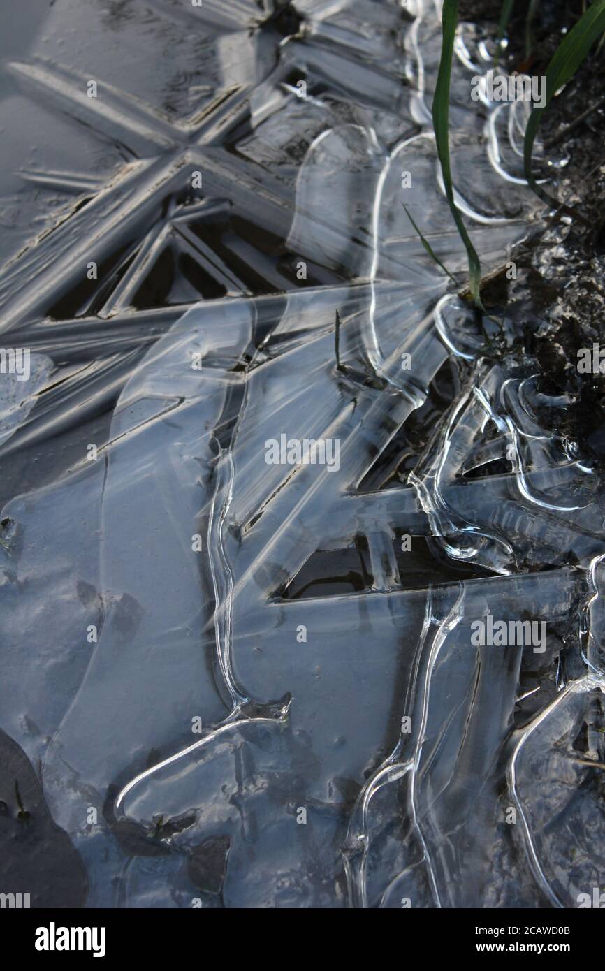 Corresponding Angles In Nature