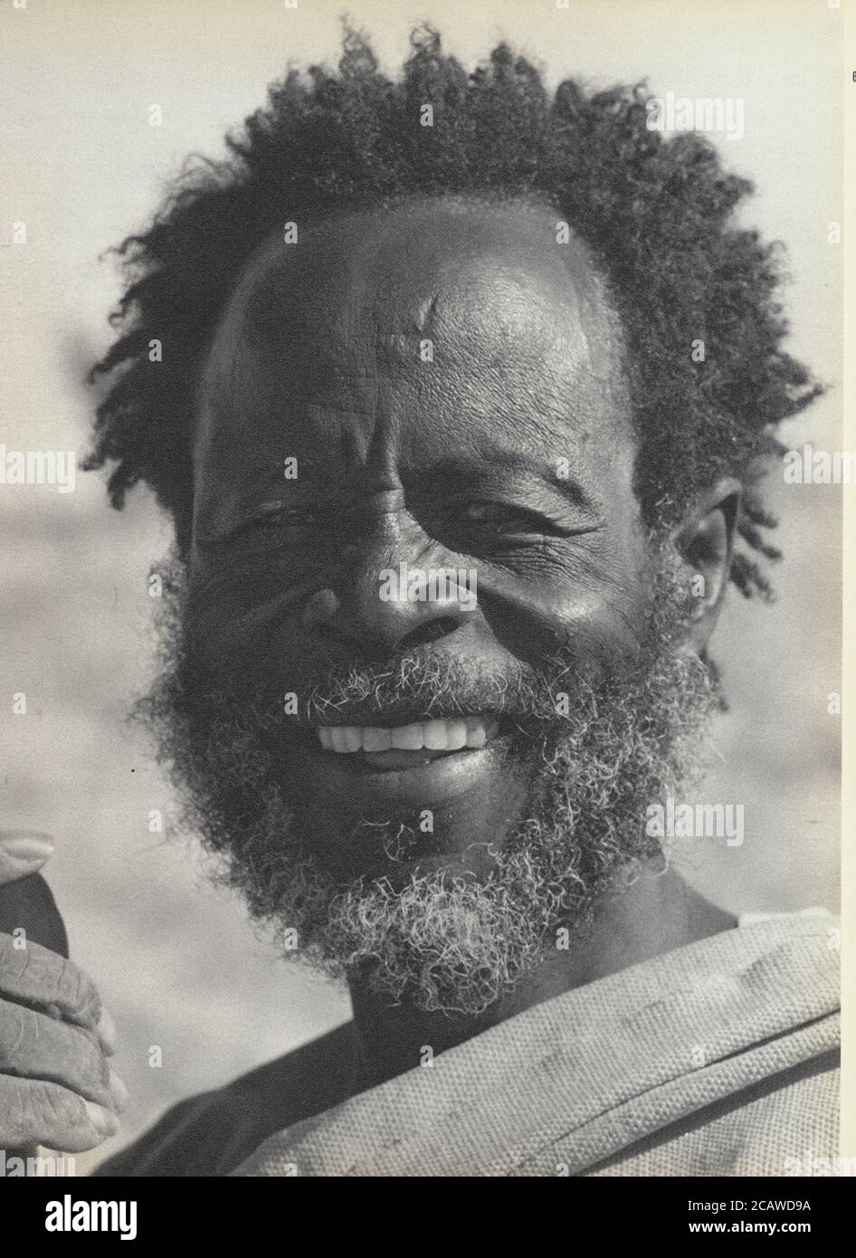 vintage animal illustration vintage classical artistic drawing Stock ...