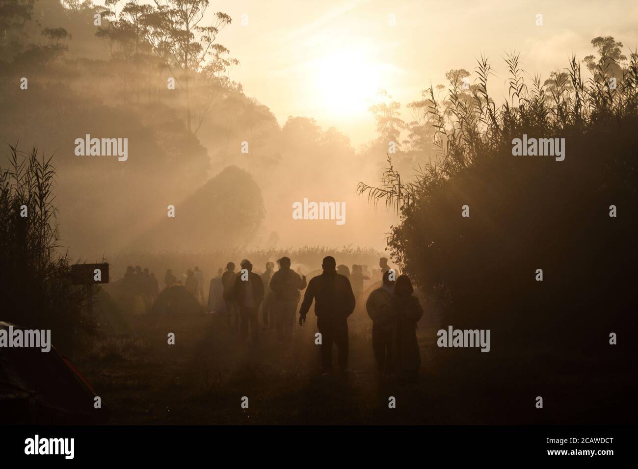 Cai ranca upas hi-res stock photography and images - Alamy