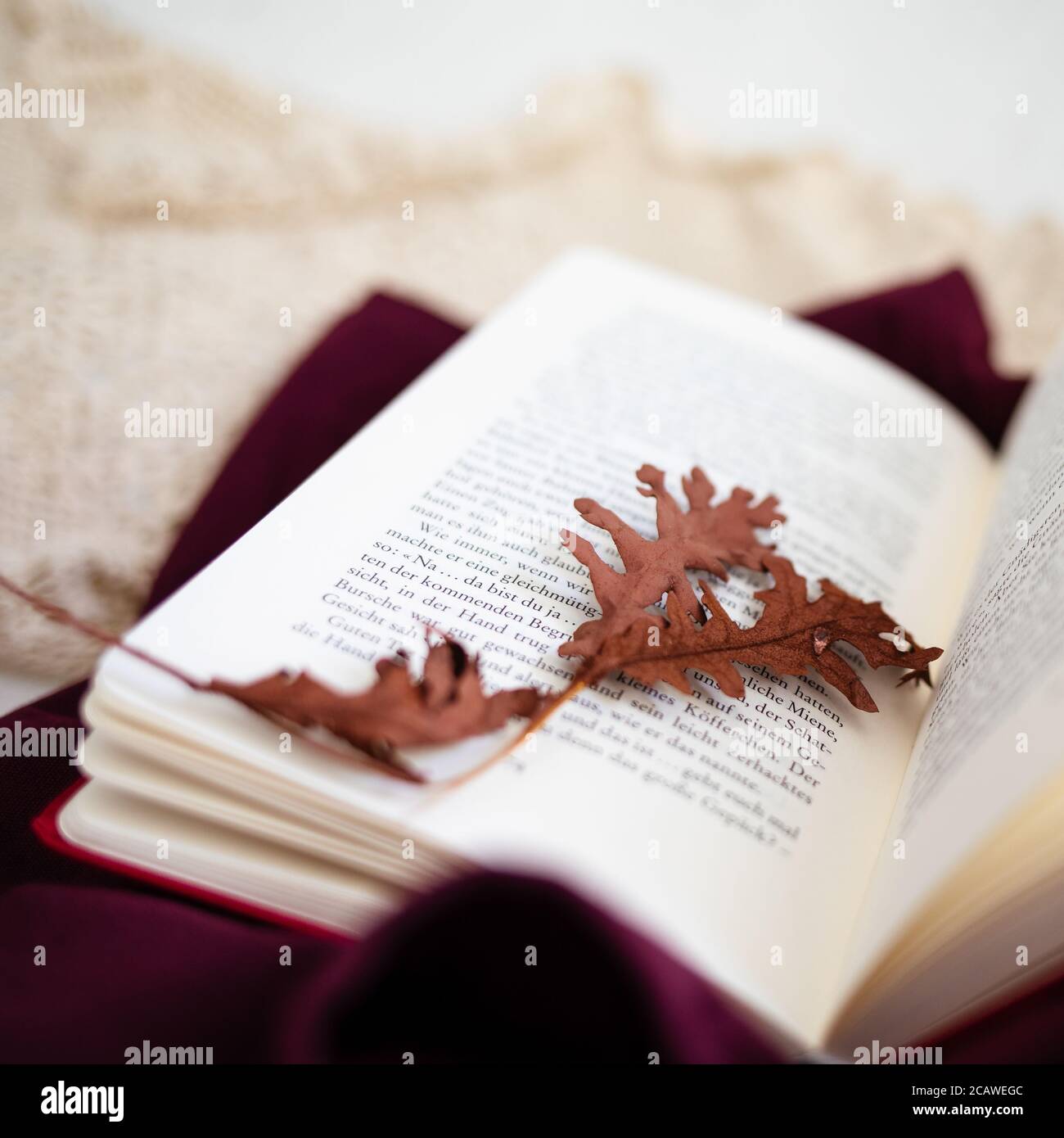 Top view of dry leaves lying on book pages - perfect for background or ...