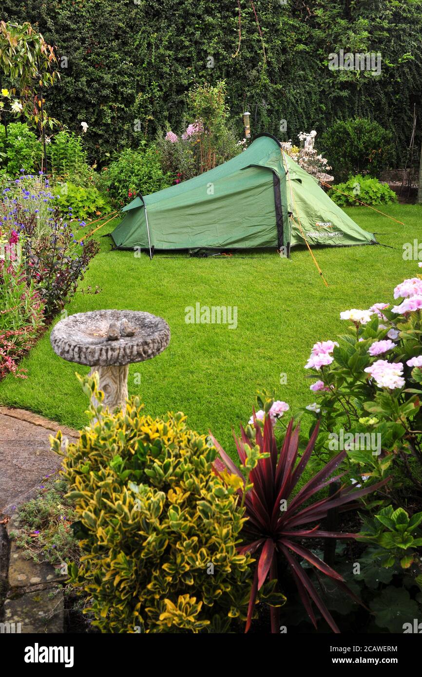 Social distance camping in a Garden. A tent is pitched in a beautiful ...