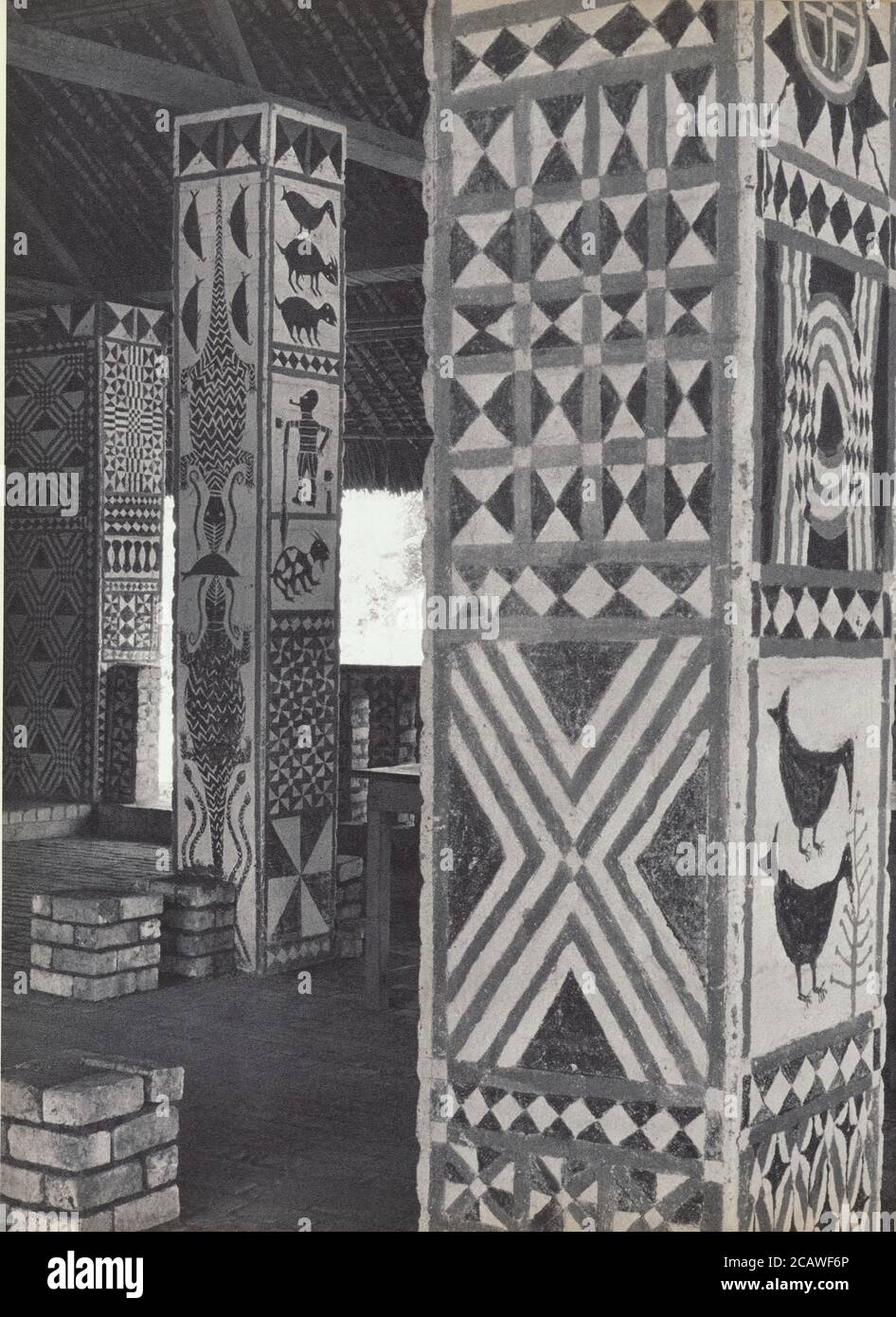 vintage animal illustration vintage classical artistic drawing Stock ...