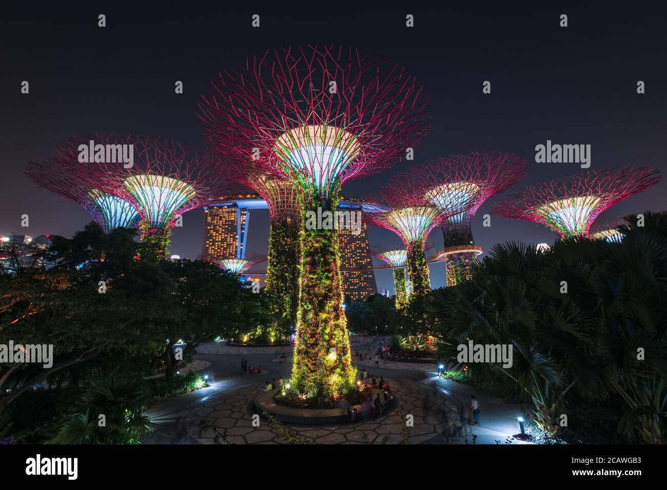 Singapore - November 09, 2020: Illuminated Super trees and Skywalk in ...