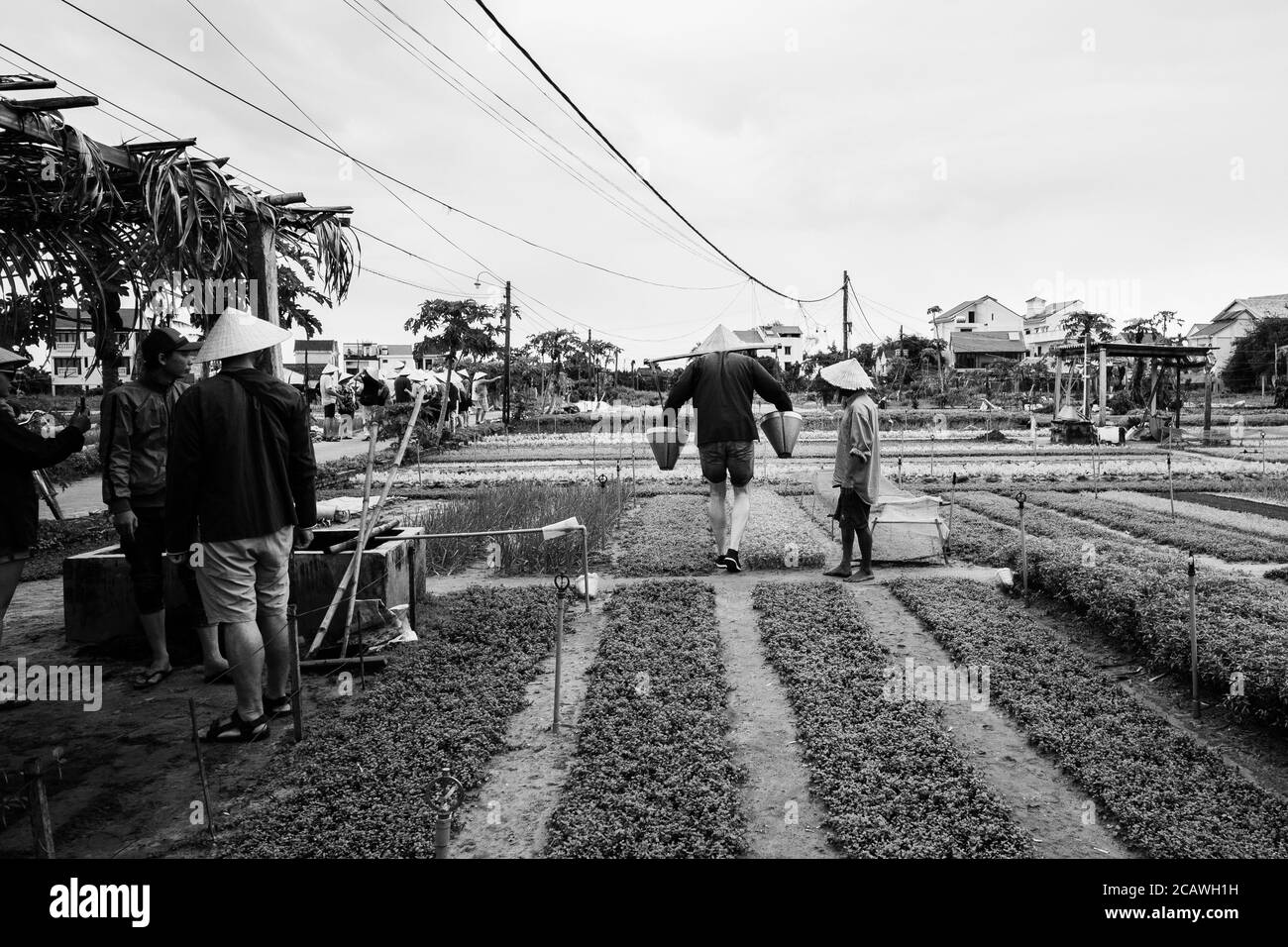 Grayscale shot of farmers at a farm in an agricultural community in Hoi ...
