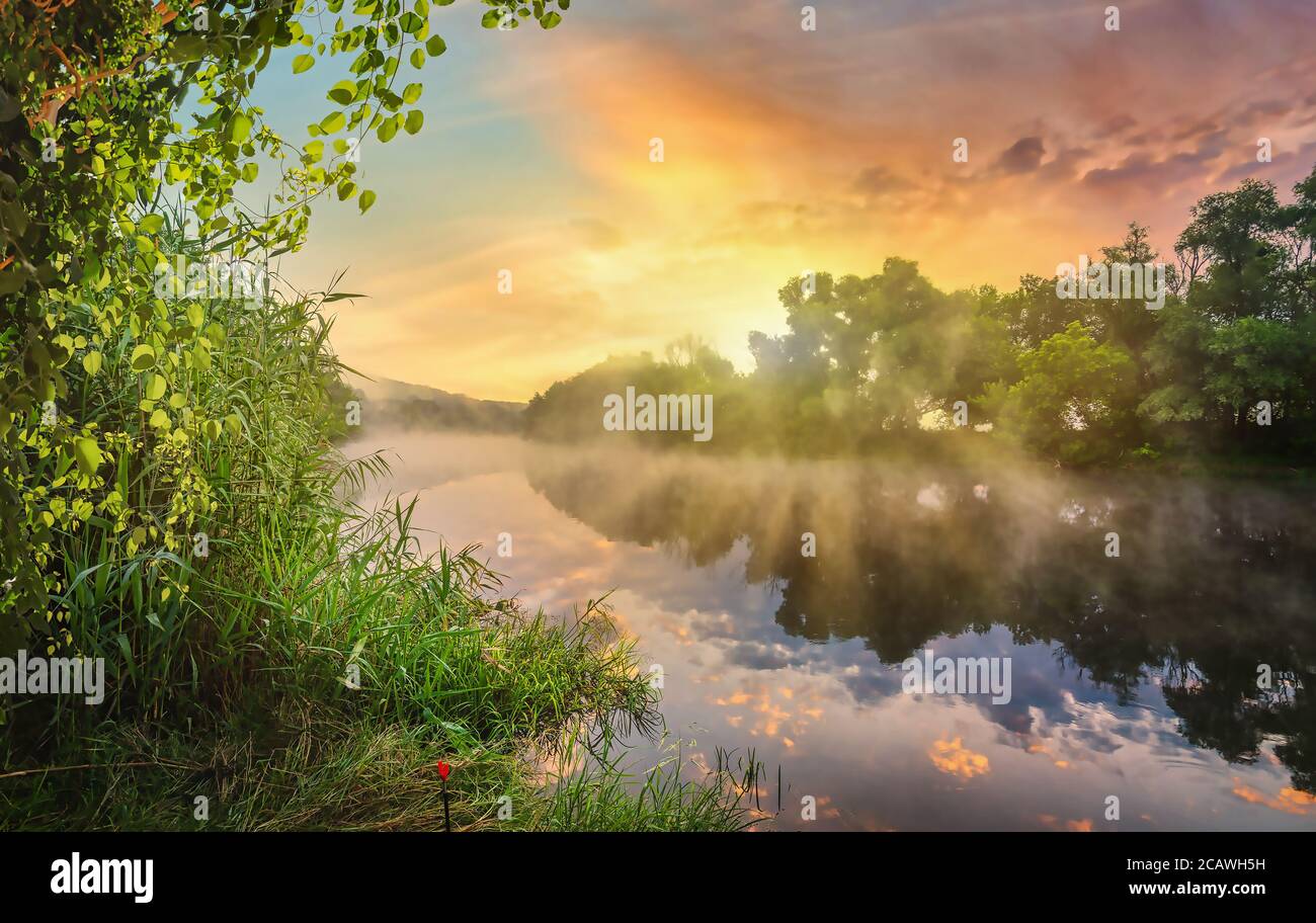 Evening on the river in the forest Stock Photo - Alamy