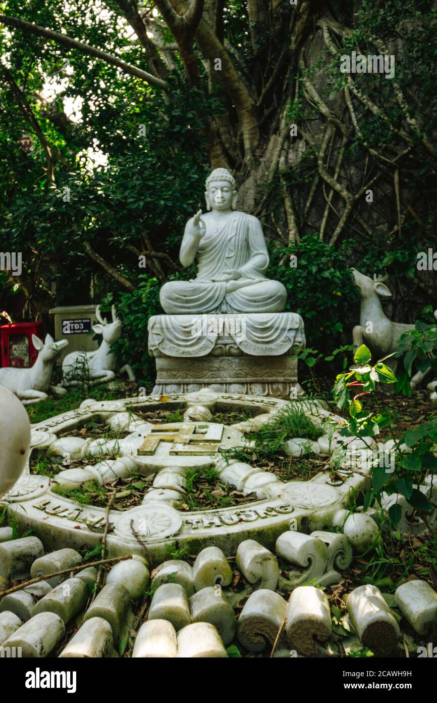 Buddha sitting under tree statue hi-res stock photography and images ...