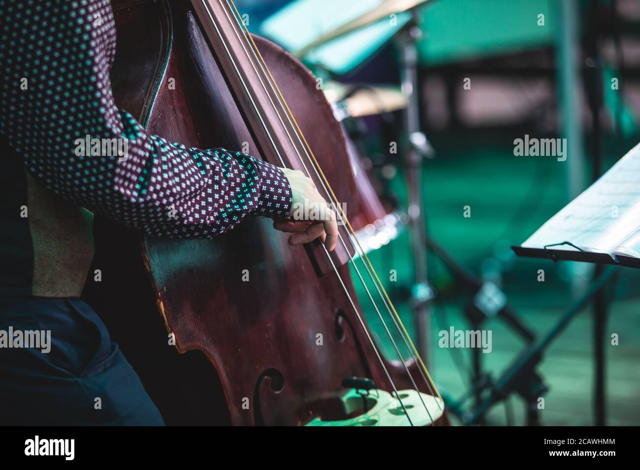 Concert view of a contrabass violoncello player with vocalist and ...