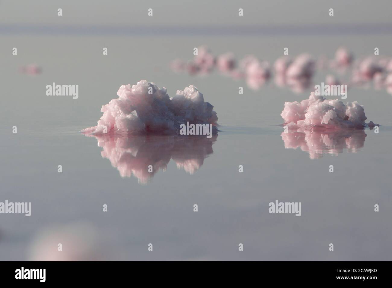 water-reflecting pink salt crystals, pink lake with high salt content ...