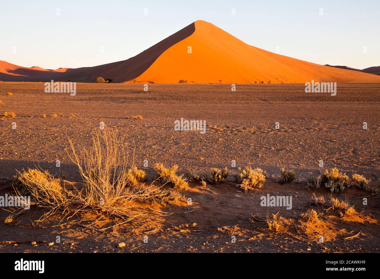 Red dunes in the Namib Desert, in Sossusvlei, in the Namib-Naukluft ...