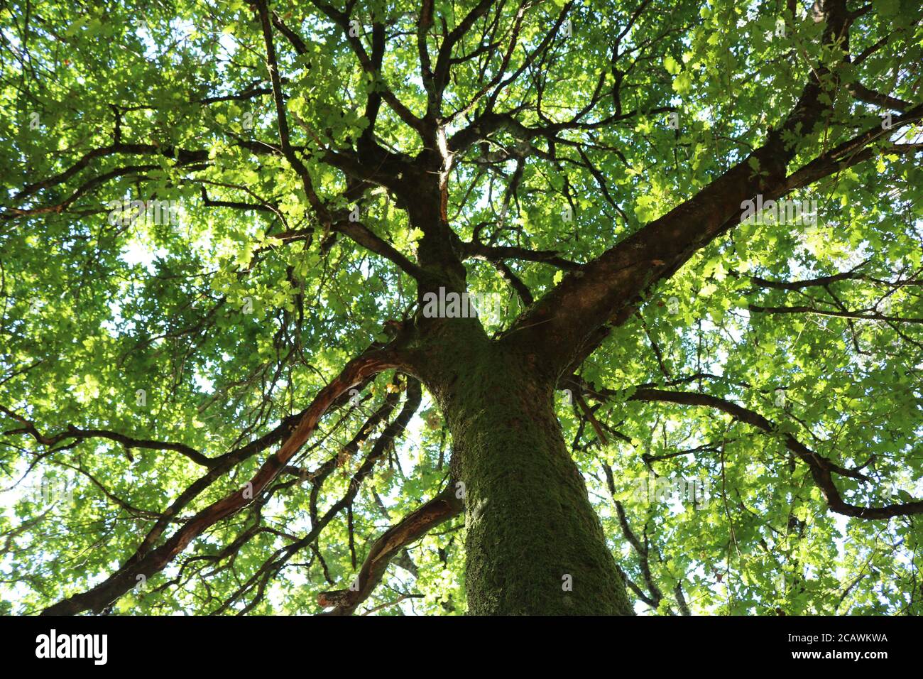 Seeing different hi-res stock photography and images - Alamy
