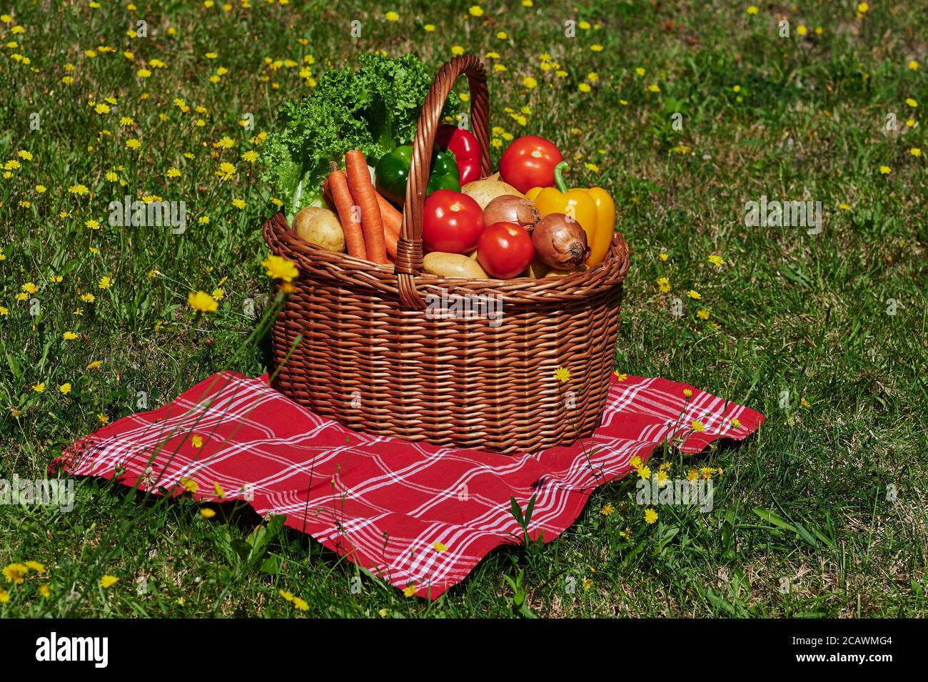 Basket of various vegetables in the sunlight on a meadow with yellow ...