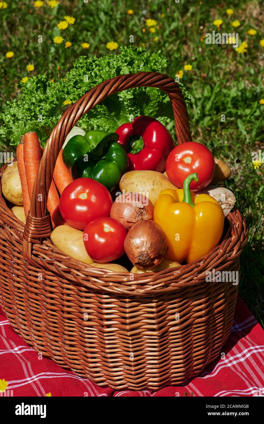 Basket of various vegetables in the sunlight on a meadow with yellow ...