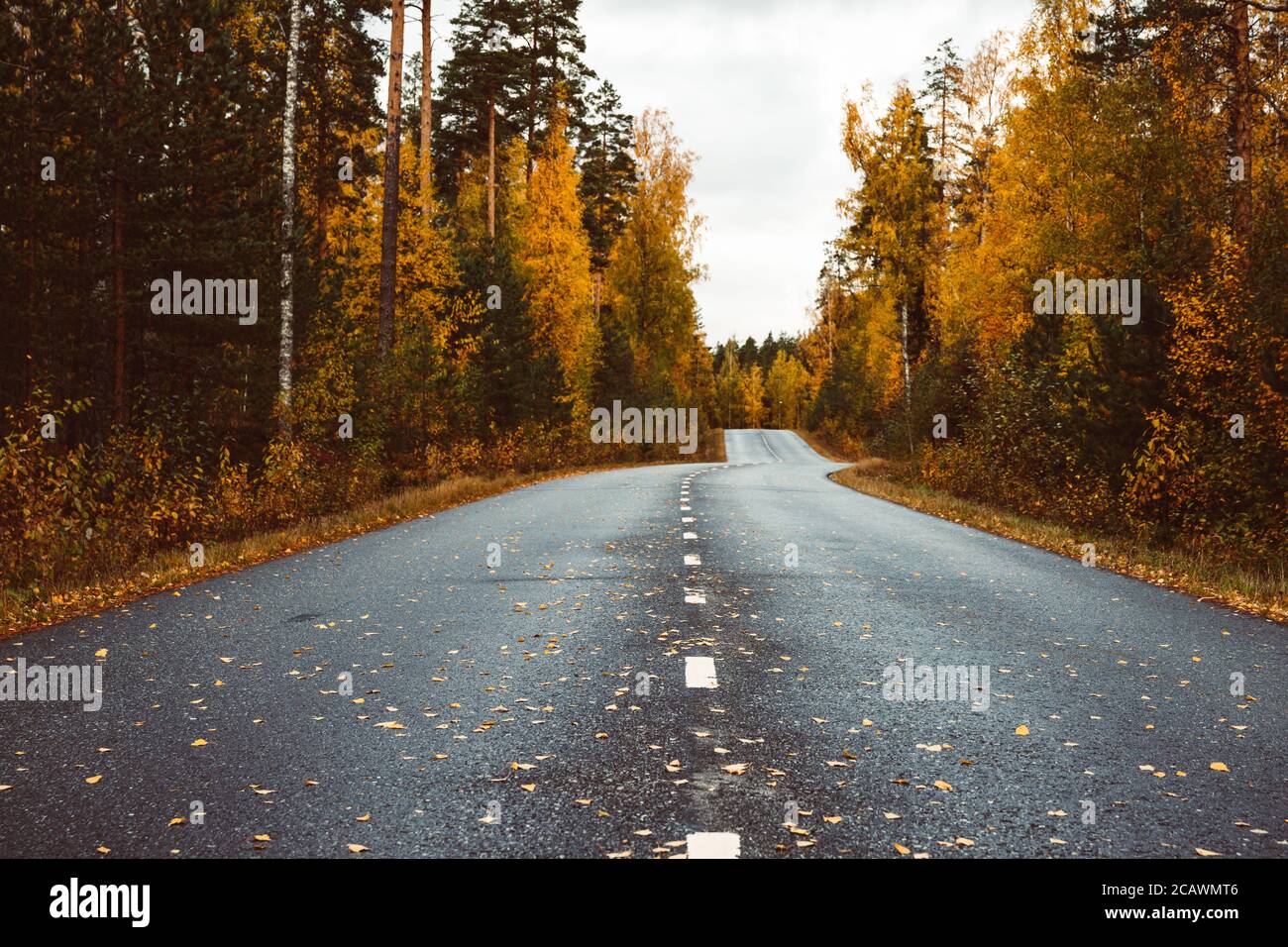 Highway through autumn forest hi-res stock photography and images - Alamy