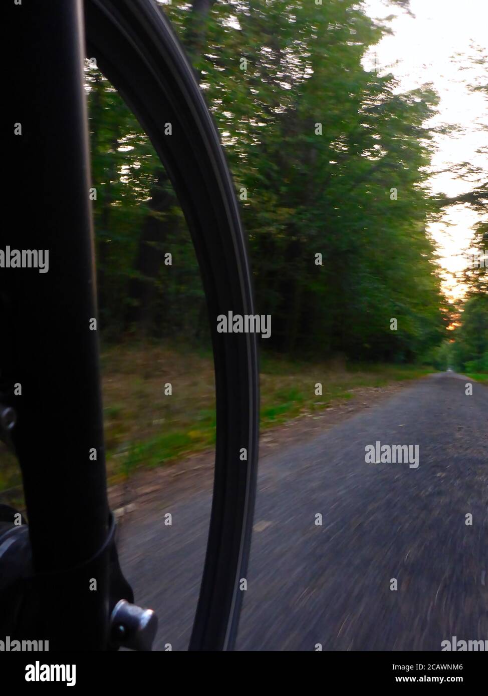 bicycle wheel on way in motion Stock Photo - Alamy
