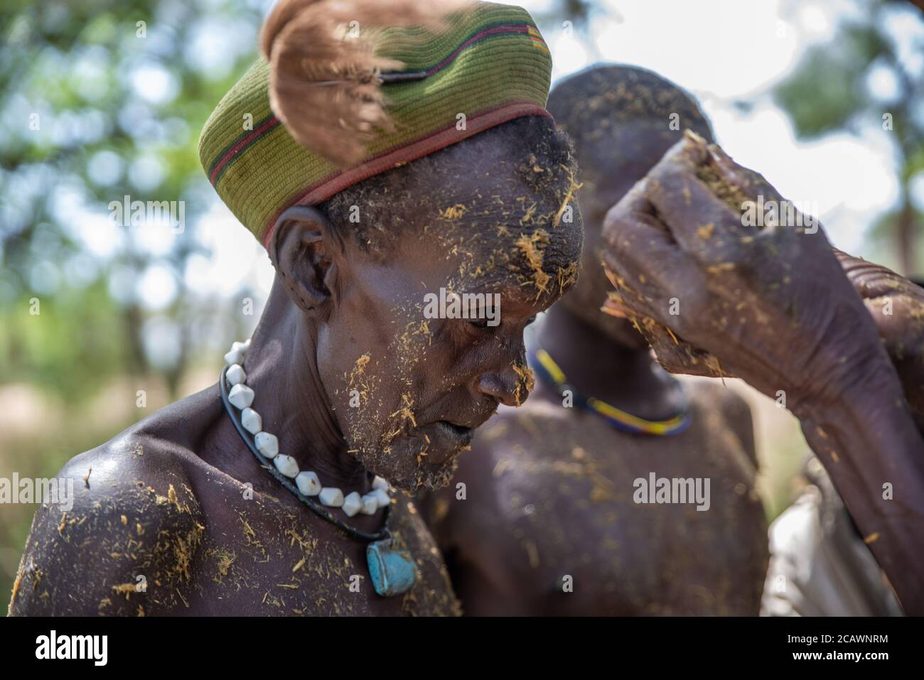 Man blessed with cow cud during an agricultural rite among Karamojong ...
