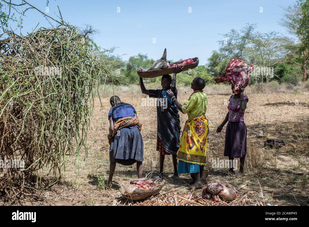 Slaughtering cow hi-res stock photography and images - Alamy