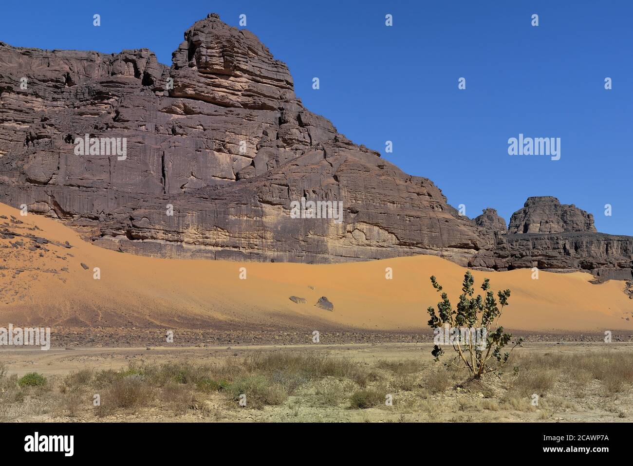DESERT LANDSCAPE IN SAHARA REGION IN ALGERIA. SAFARI AND ADVENTURE IN ...