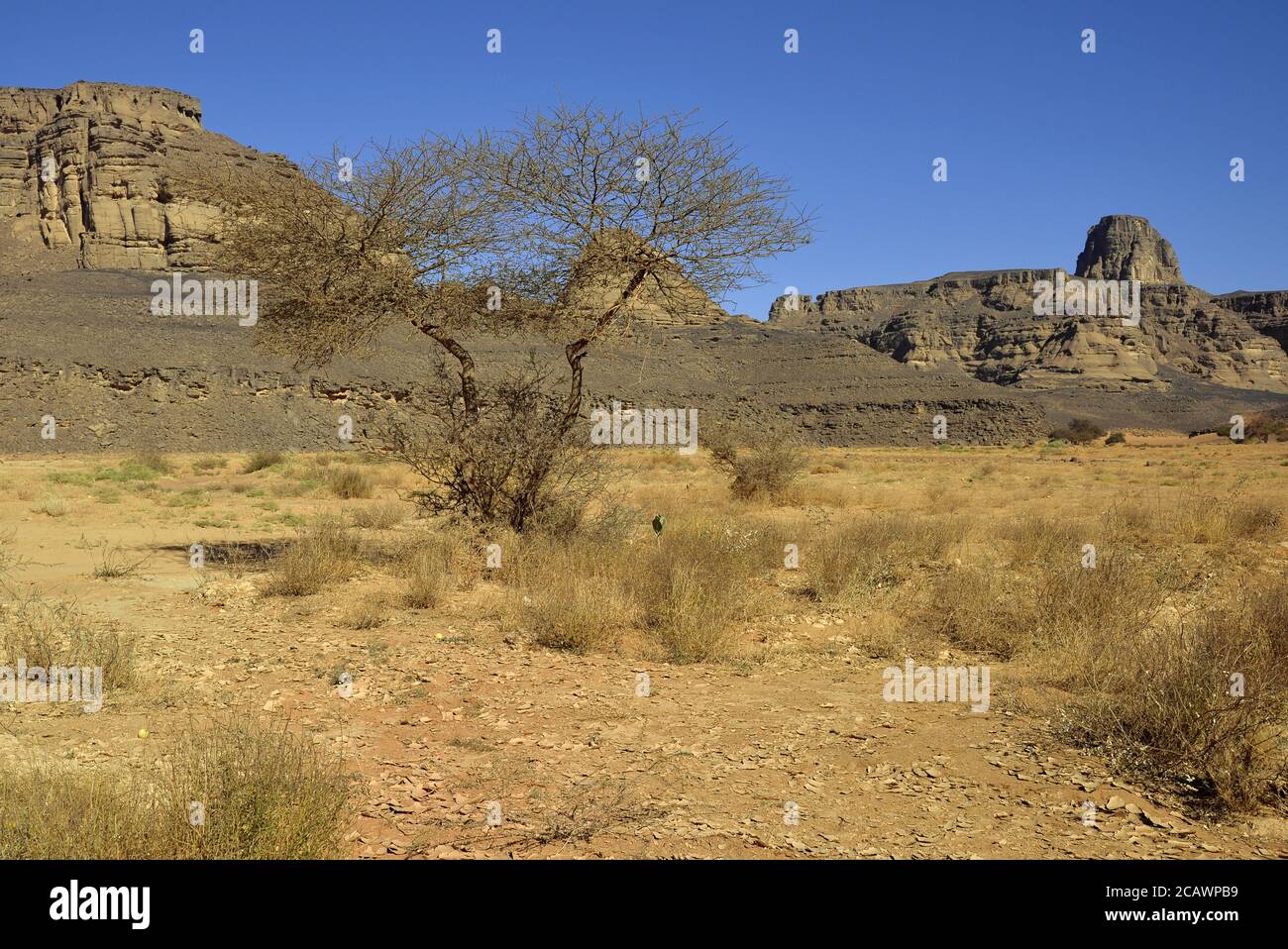 DESERT LANDSCAPE IN SAHARA REGION IN ALGERIA. SAFARI AND ADVENTURE IN ...