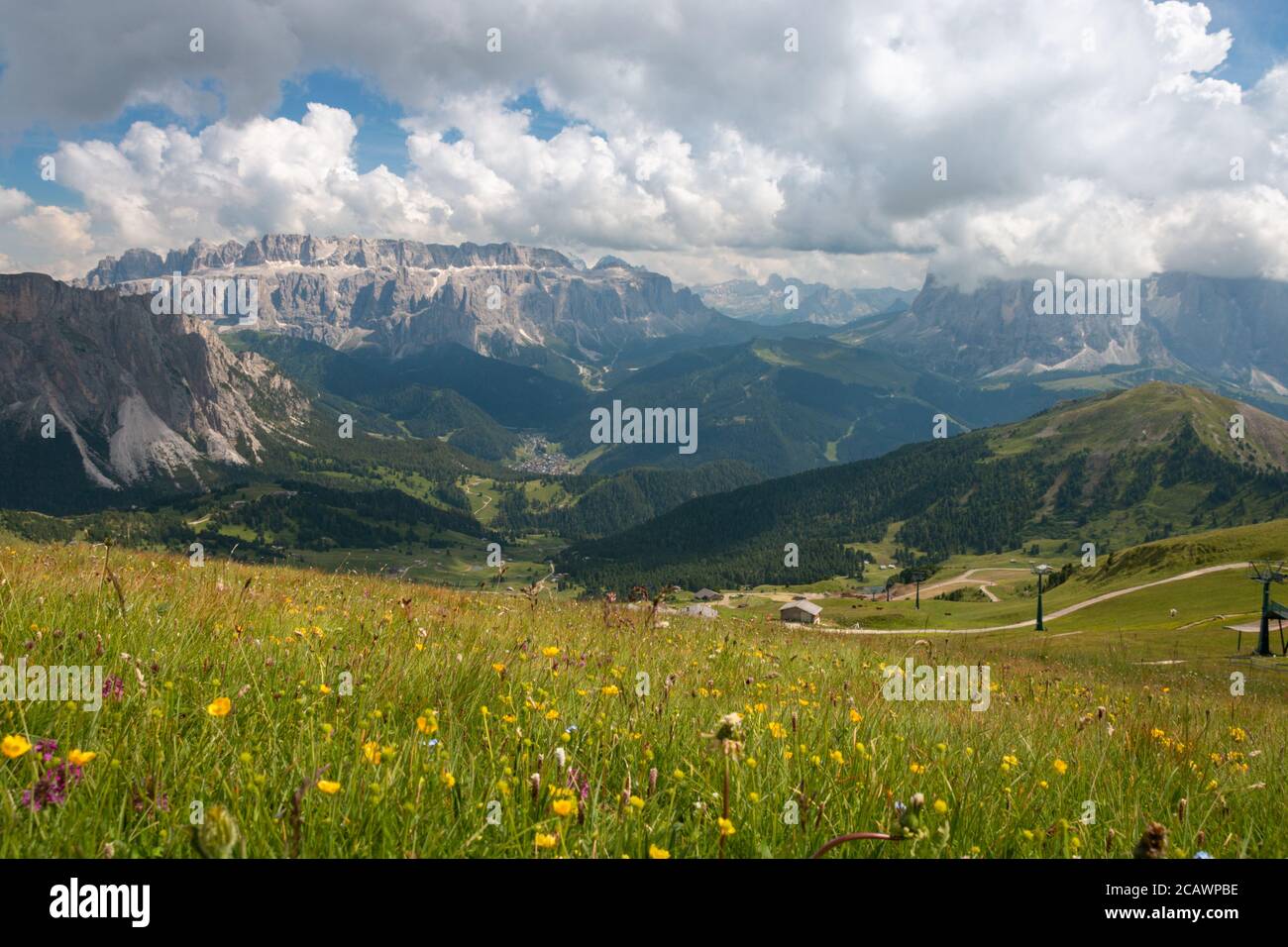 Scenic view of Sella group mountains with summer flowers in the ...