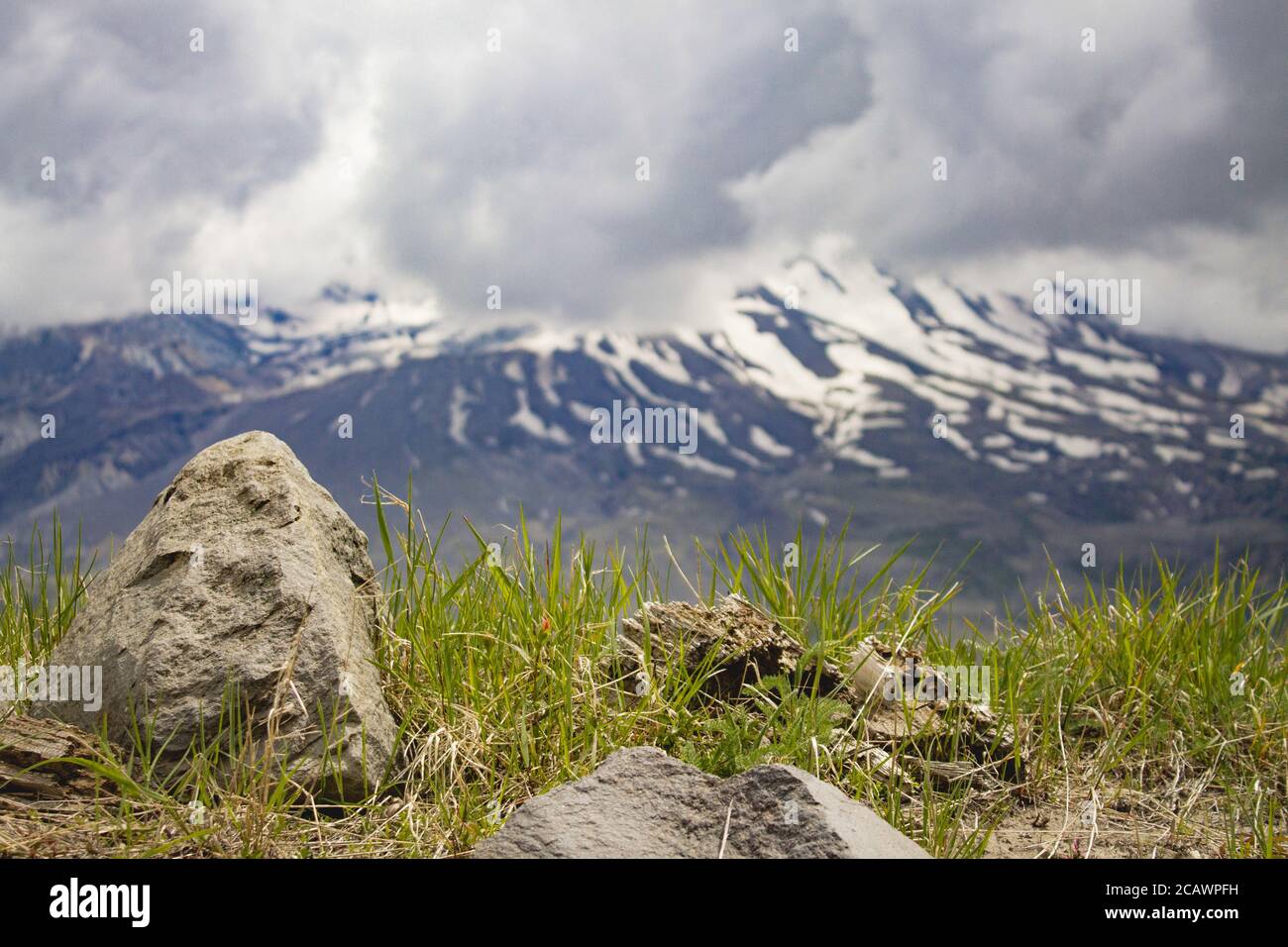Closeup of rocks and grass with the Mount Saint Helens on the blurry ...