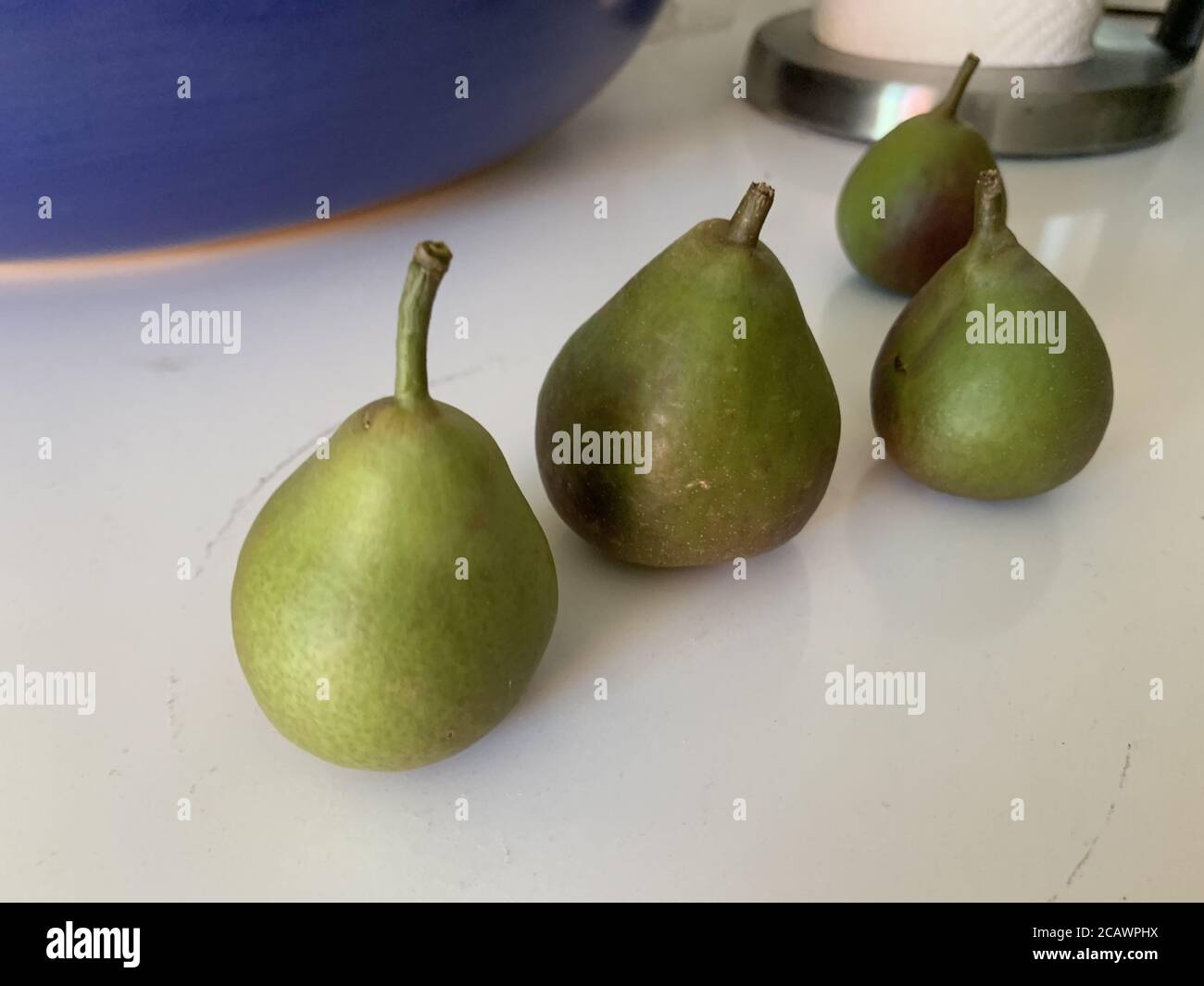 High angle shot of fresh pears on the table with a blue bowl on the ...