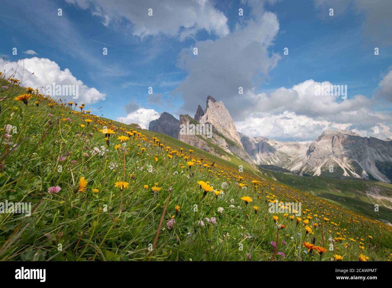 Panorama from seceda mountain hi-res stock photography and images - Alamy