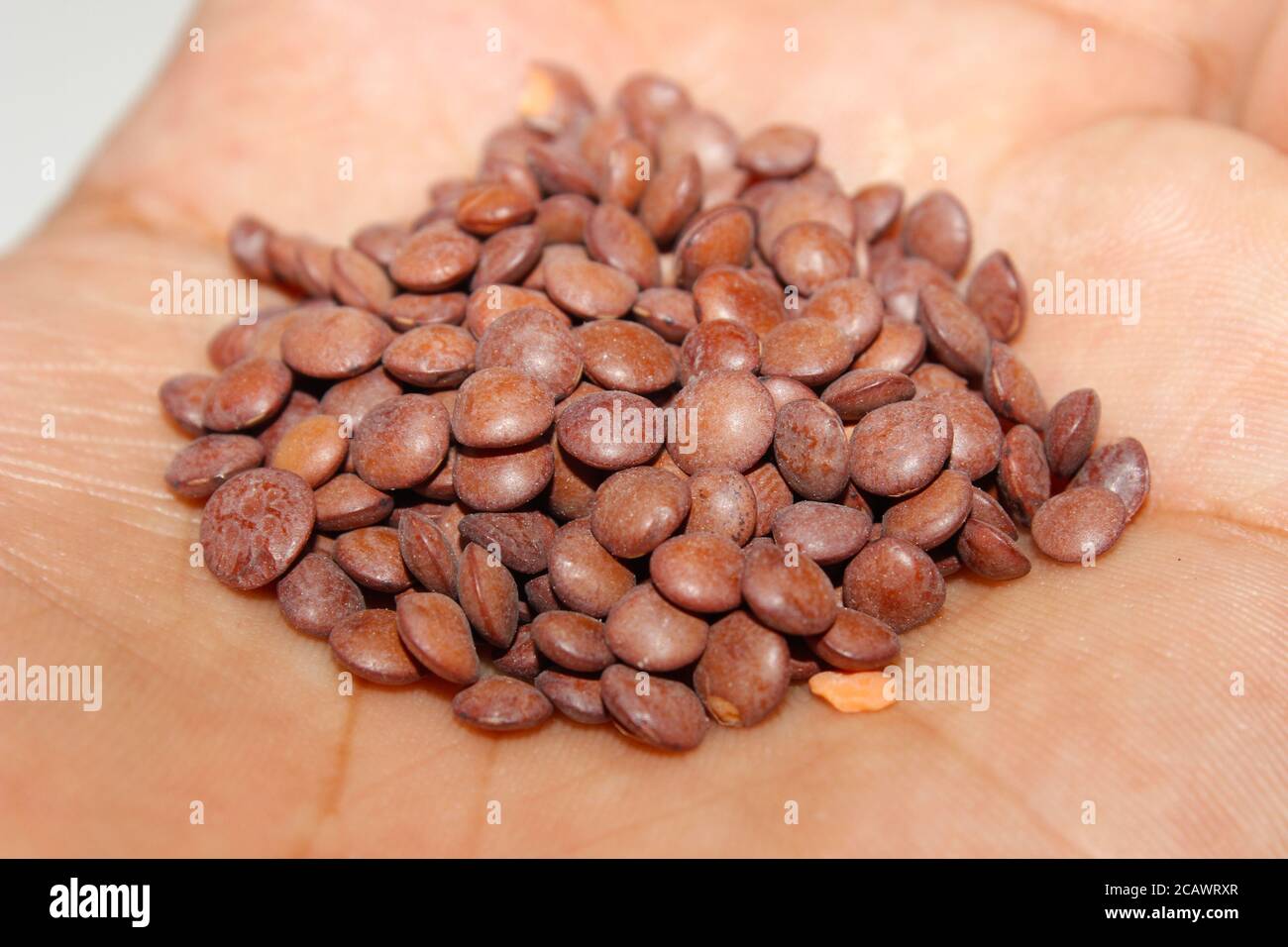 A picture of black lentil Stock Photo - Alamy