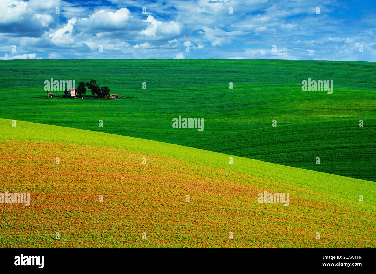 Rural landscape with green field, blue sky and wooden hunting shack ...