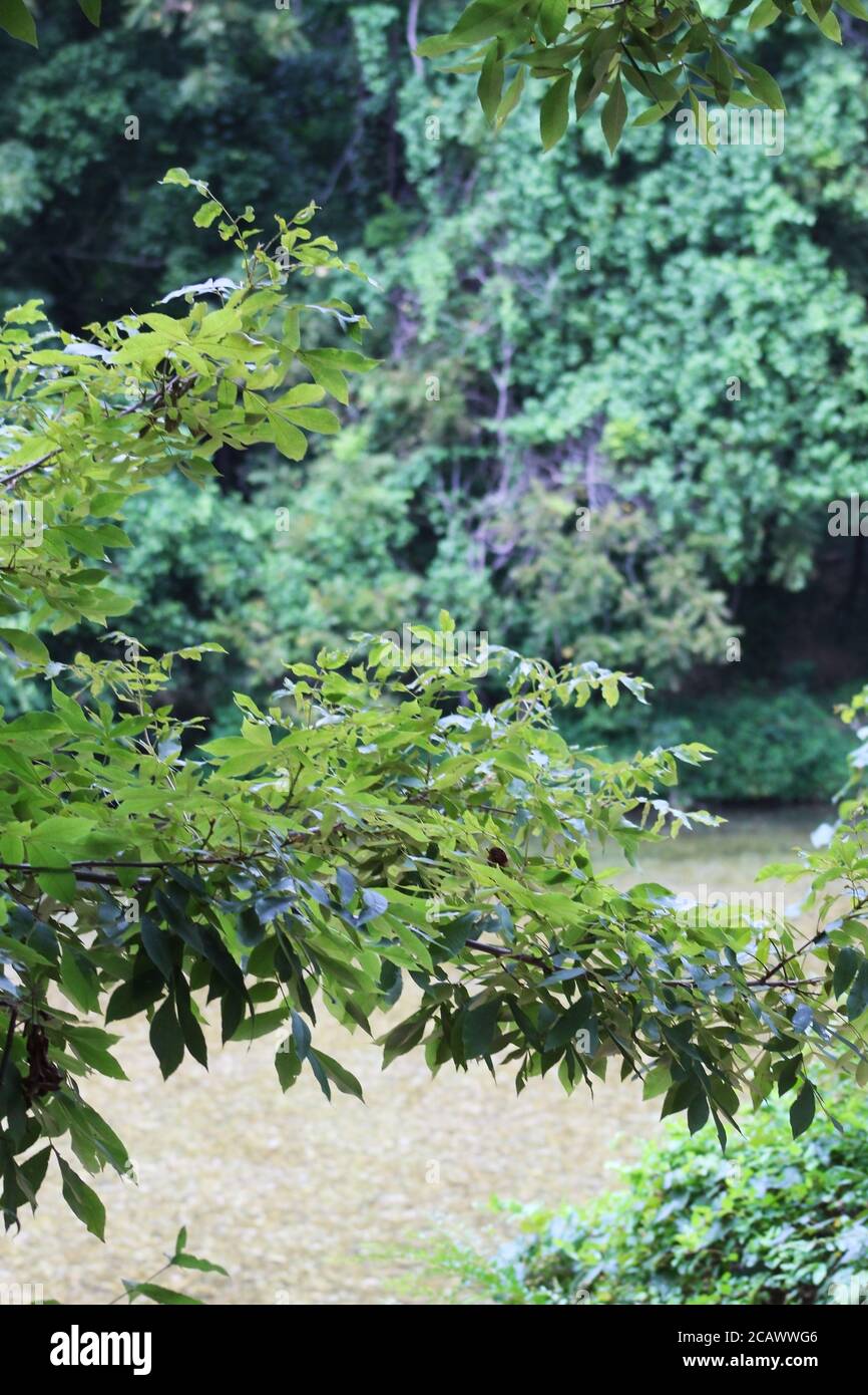 View of Little Blue near Disney Oklahoma Stock Photo - Alamy