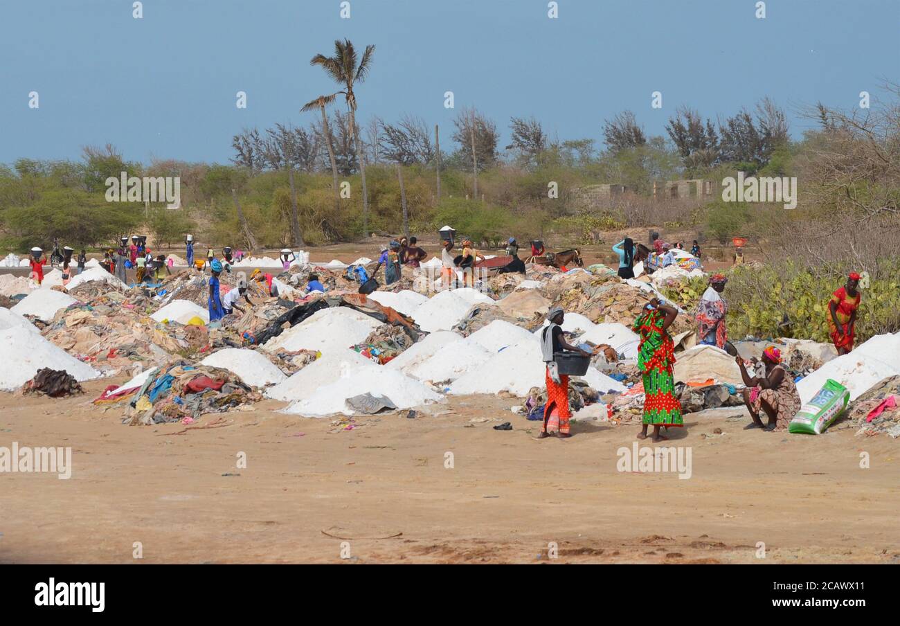 Senegalese traditional salt industry hi-res stock photography and ...
