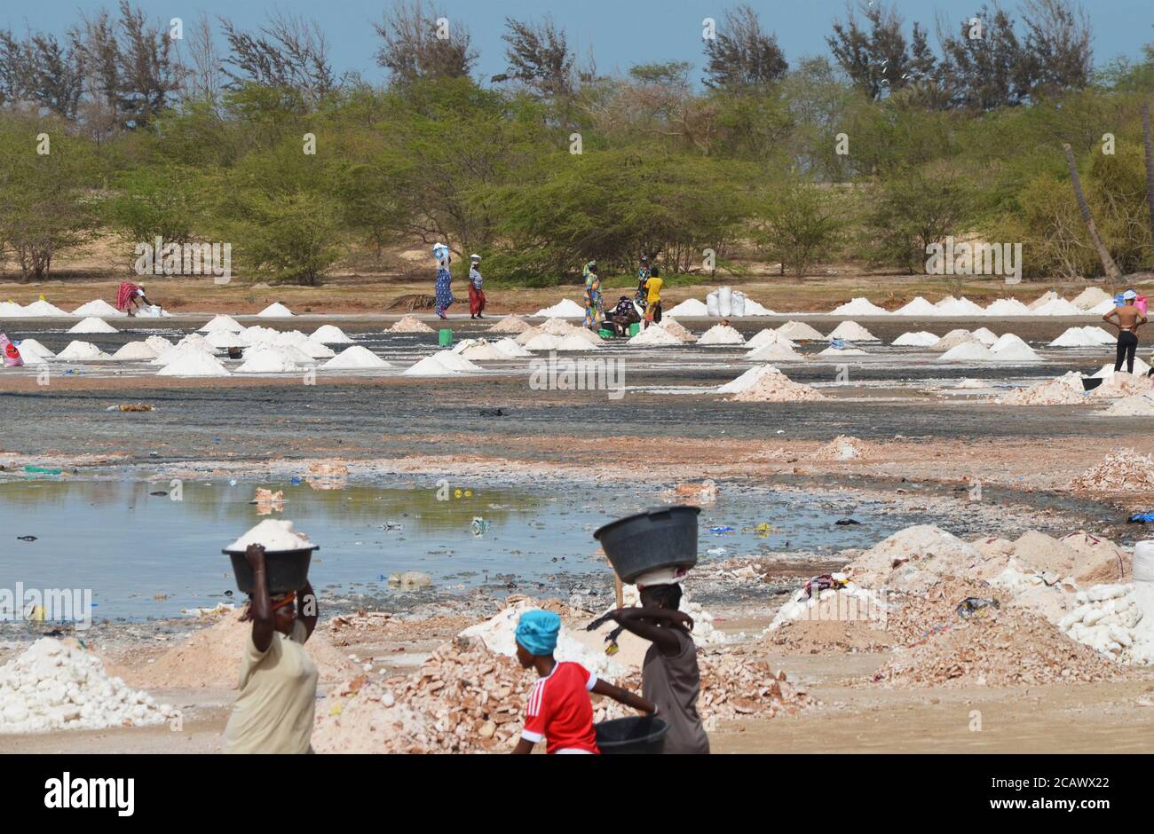 Artisanal salt gatherers working near Lompoul, Senegal Stock Photo - Alamy