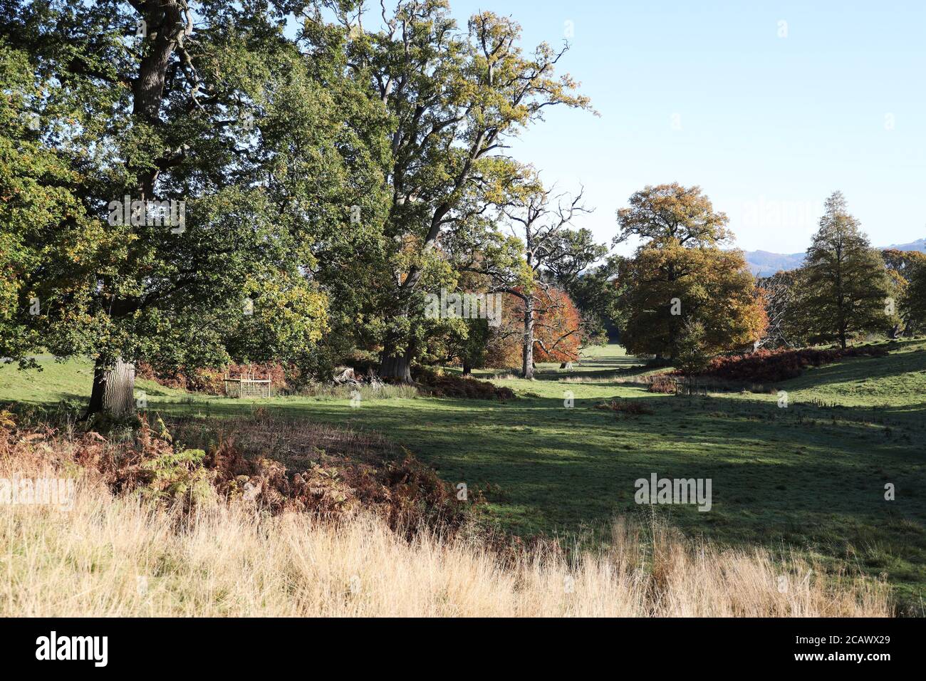 Powis Park landscape, Powys Castle, Welshpool, Powys, uk Stock Photo ...