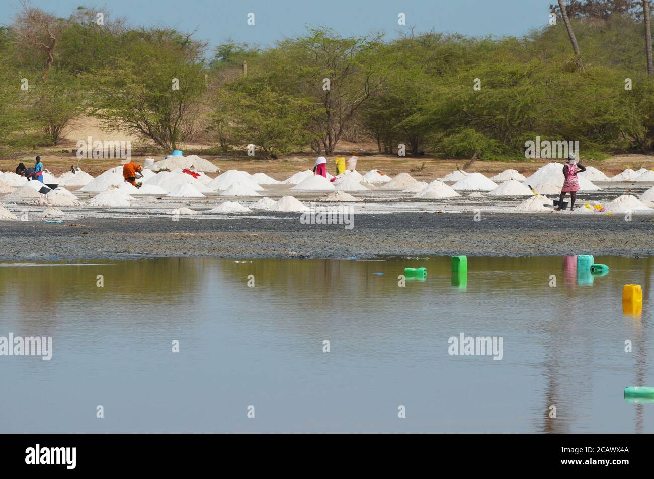 Senegalese traditional salt industry hi-res stock photography and ...