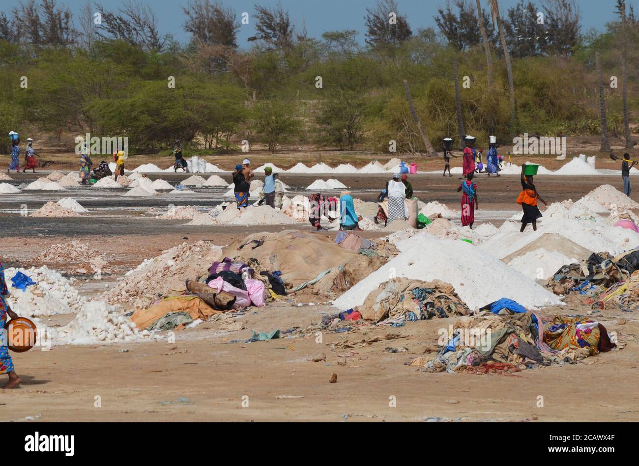 Senegalese salt hi-res stock photography and images - Alamy