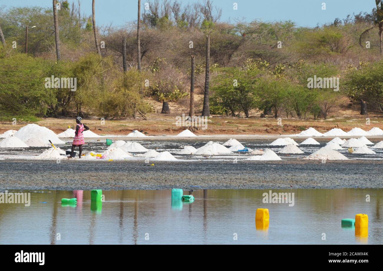 Senegalese traditional salt industry hi-res stock photography and ...