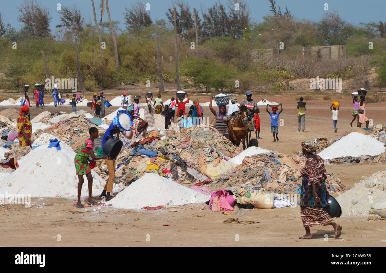 Senegalese traditional salt industry hi-res stock photography and ...