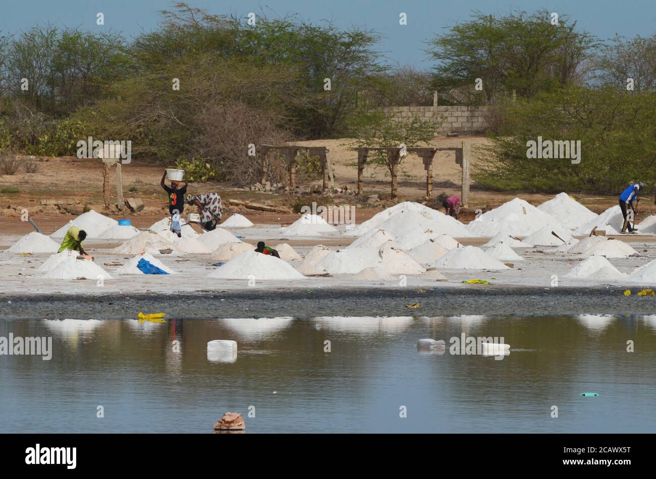 Artisanal salt gatherers working near Lompoul, Senegal Stock Photo - Alamy