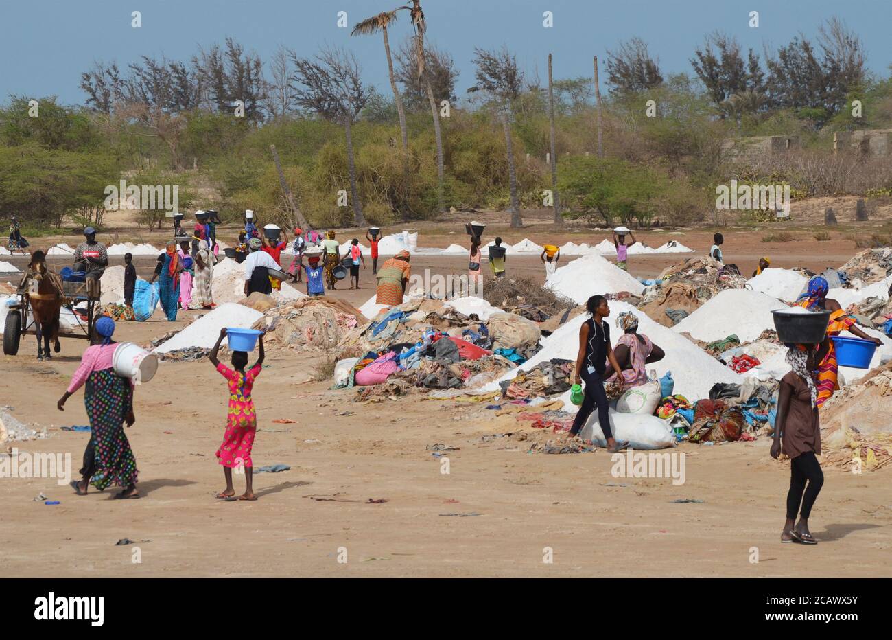 Senegalese traditional salt industry hi-res stock photography and ...