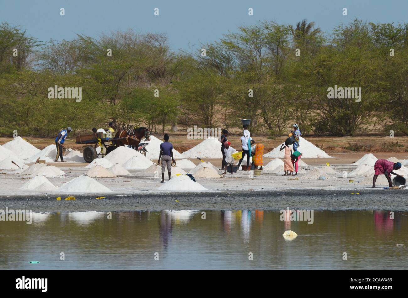 Senegalese traditional salt industry hi-res stock photography and ...