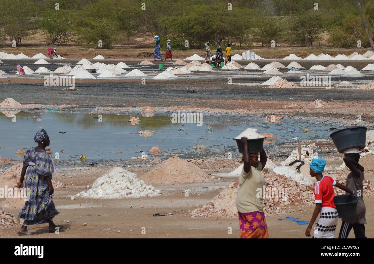 Artisanal salt gatherers working near Lompoul, Senegal Stock Photo - Alamy