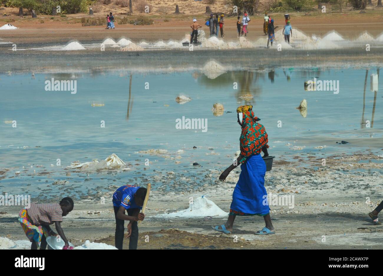Artisanal salt gatherers working near Lompoul, Senegal Stock Photo - Alamy