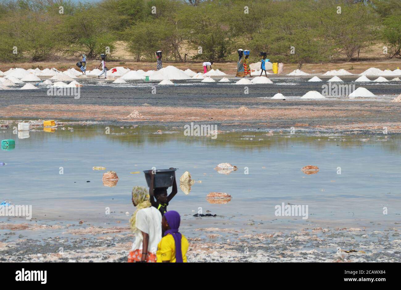 Senegalese traditional salt industry hi-res stock photography and ...