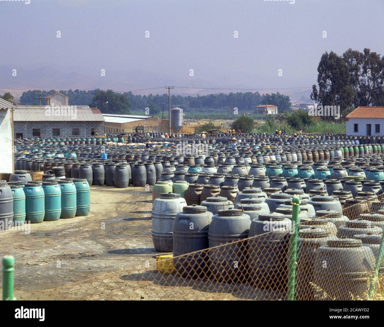 Barriles de aceitunas hi-res stock photography and images - Alamy