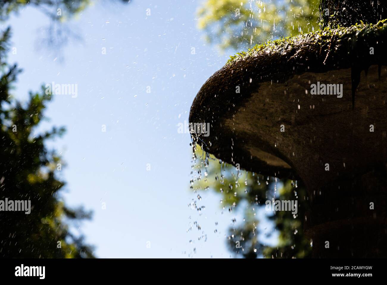 Closeup of water droplets from a round mossy stone Stock Photo - Alamy