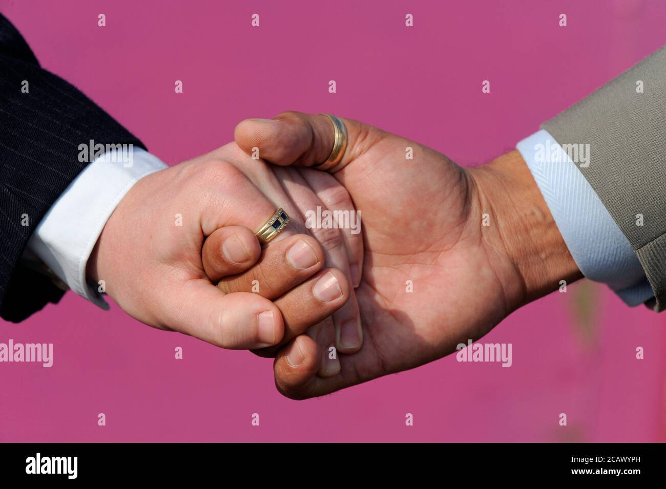 Two Men Holding Hands Marriage