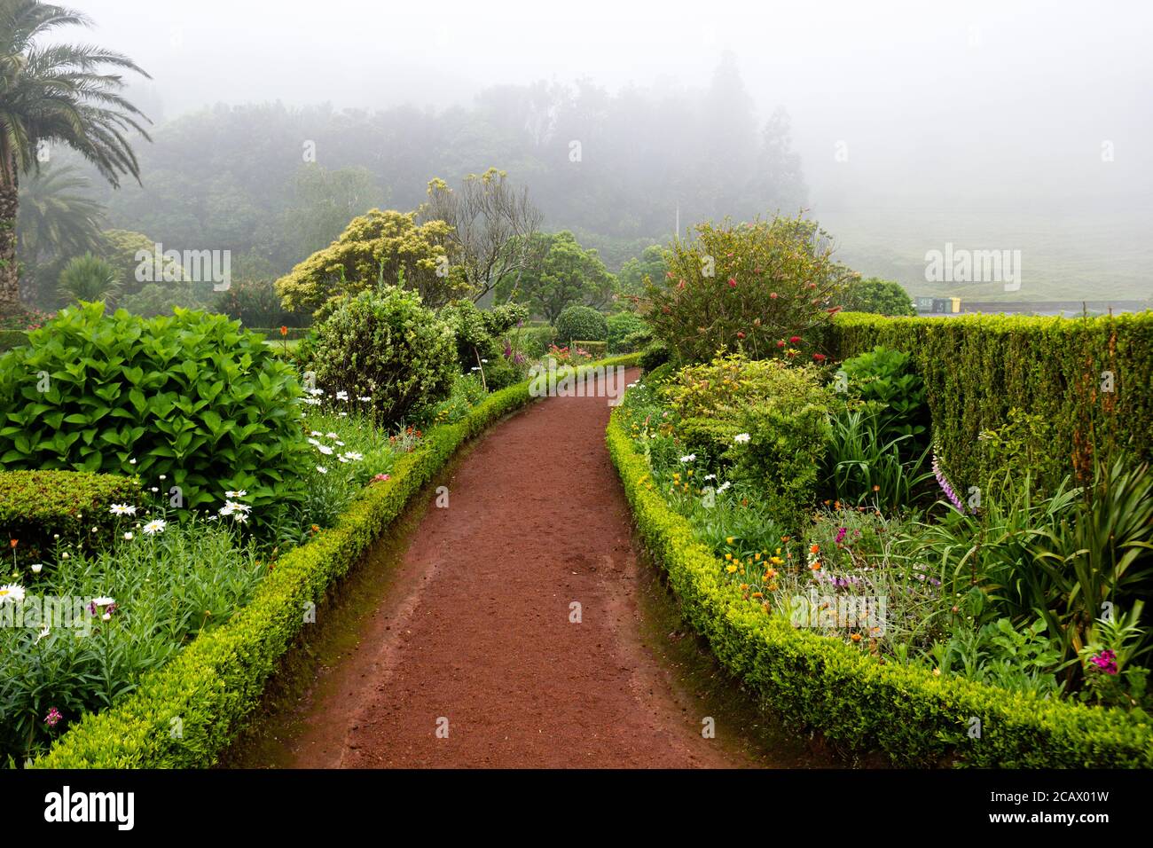 Mesmerizing view from the garden with a path in the middle in a foggy ...
