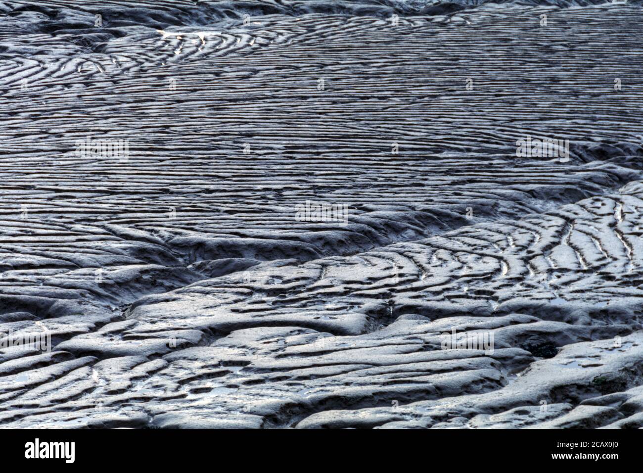 Abstract shapes in the mud Stock Photo - Alamy